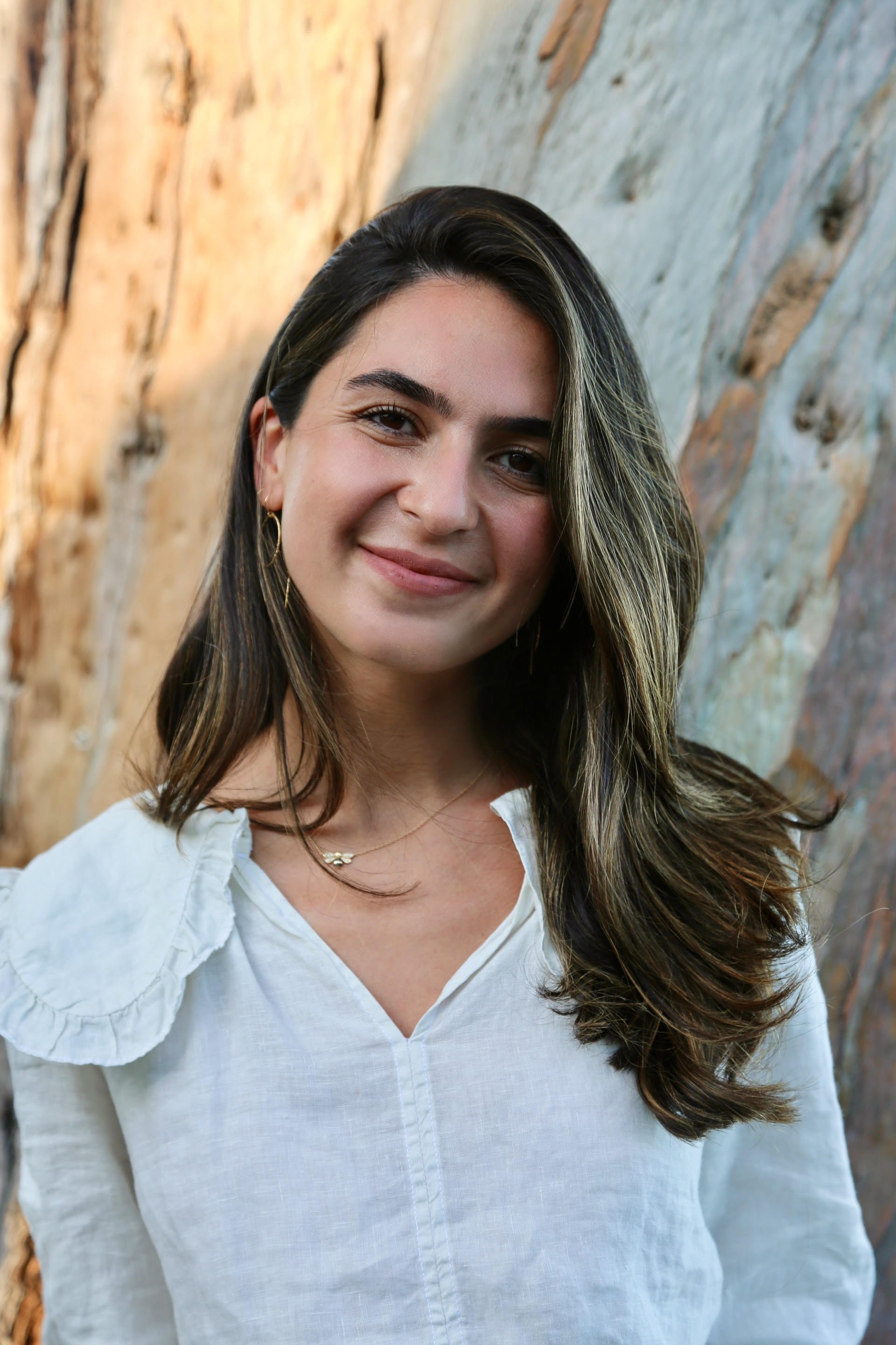 Mental Health Care in Los Angeles — Brentwood Therapy Collective