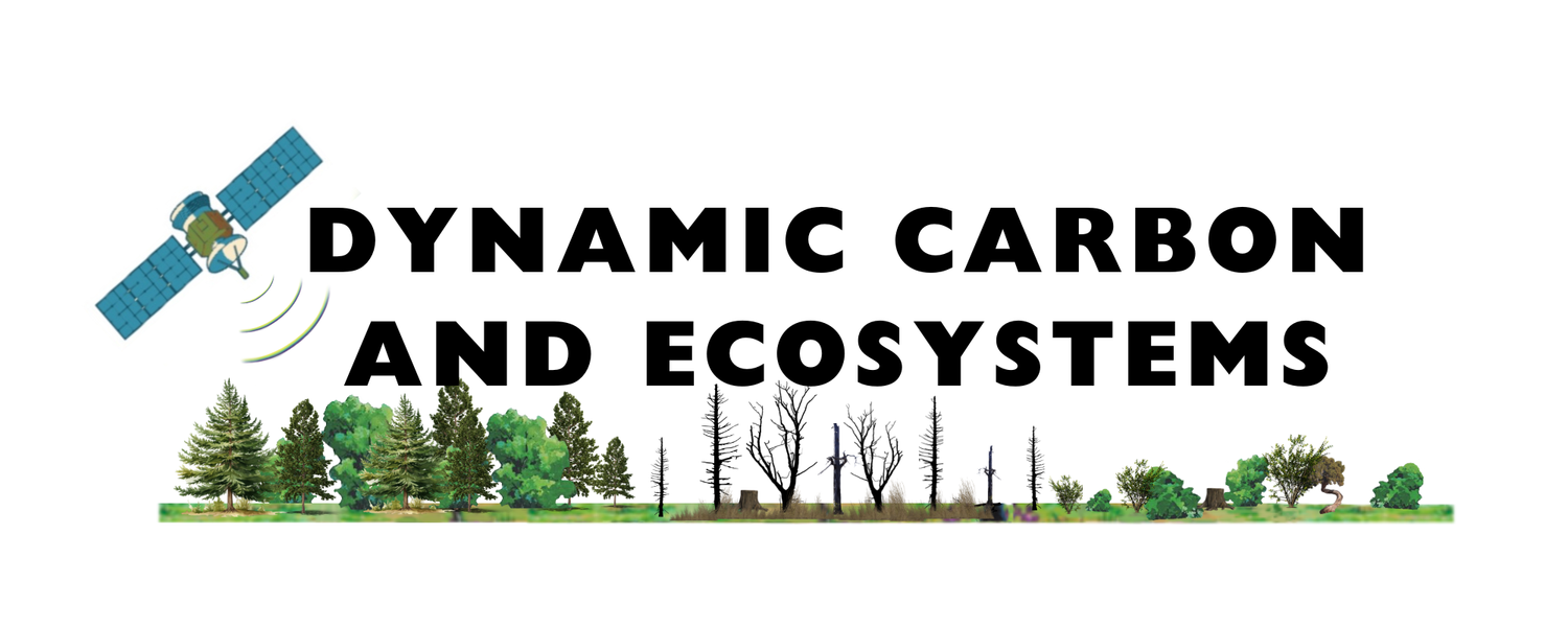 Dynamic Carbon and Ecosystems Lab