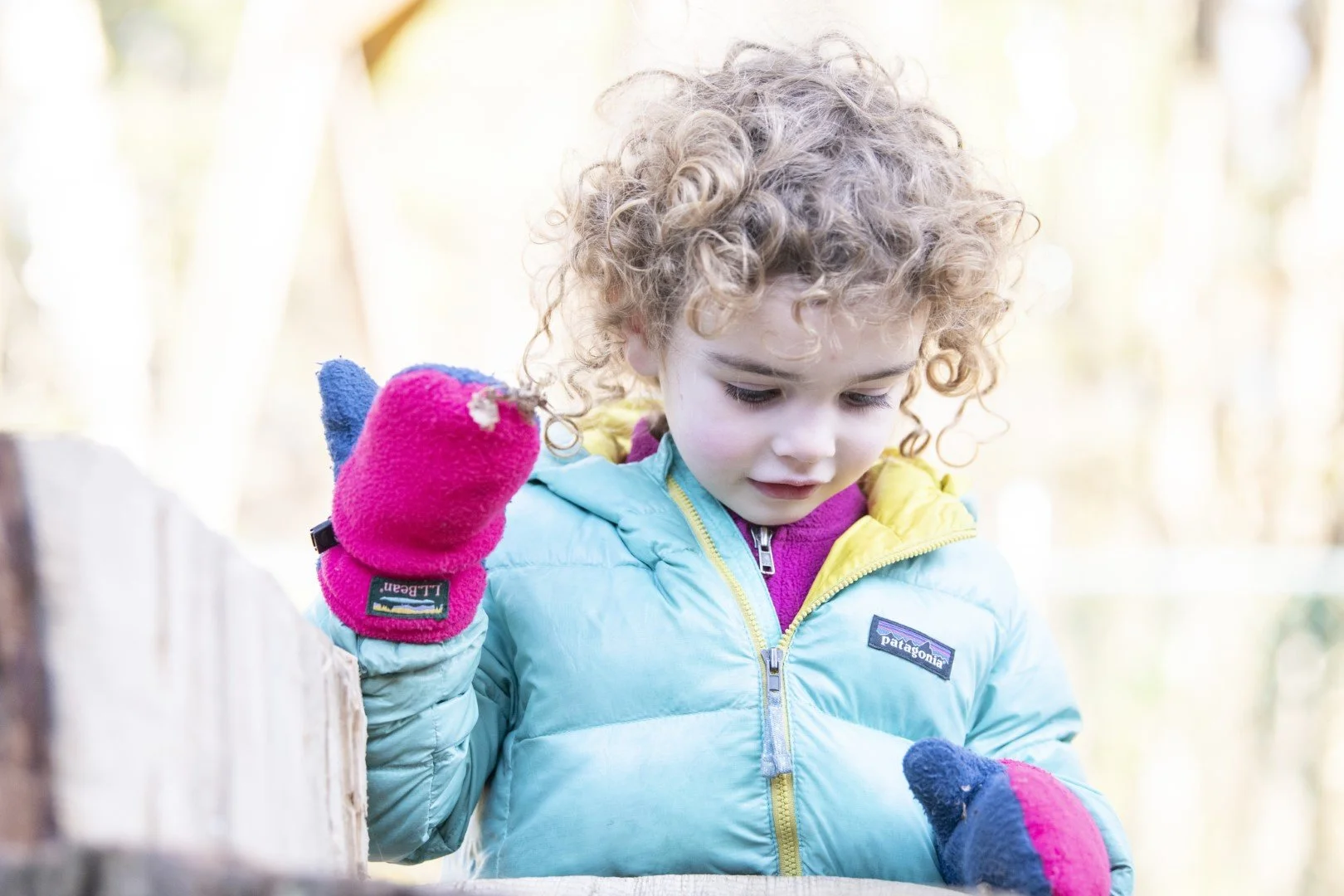 Our Programs | Treehouse Children's School | Formerly the Childcare Center of Norwich