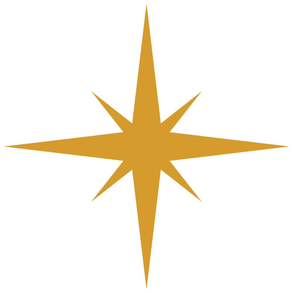 North Star Engineering