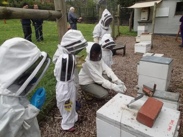 The Apiary — Collingwood Children's Farm