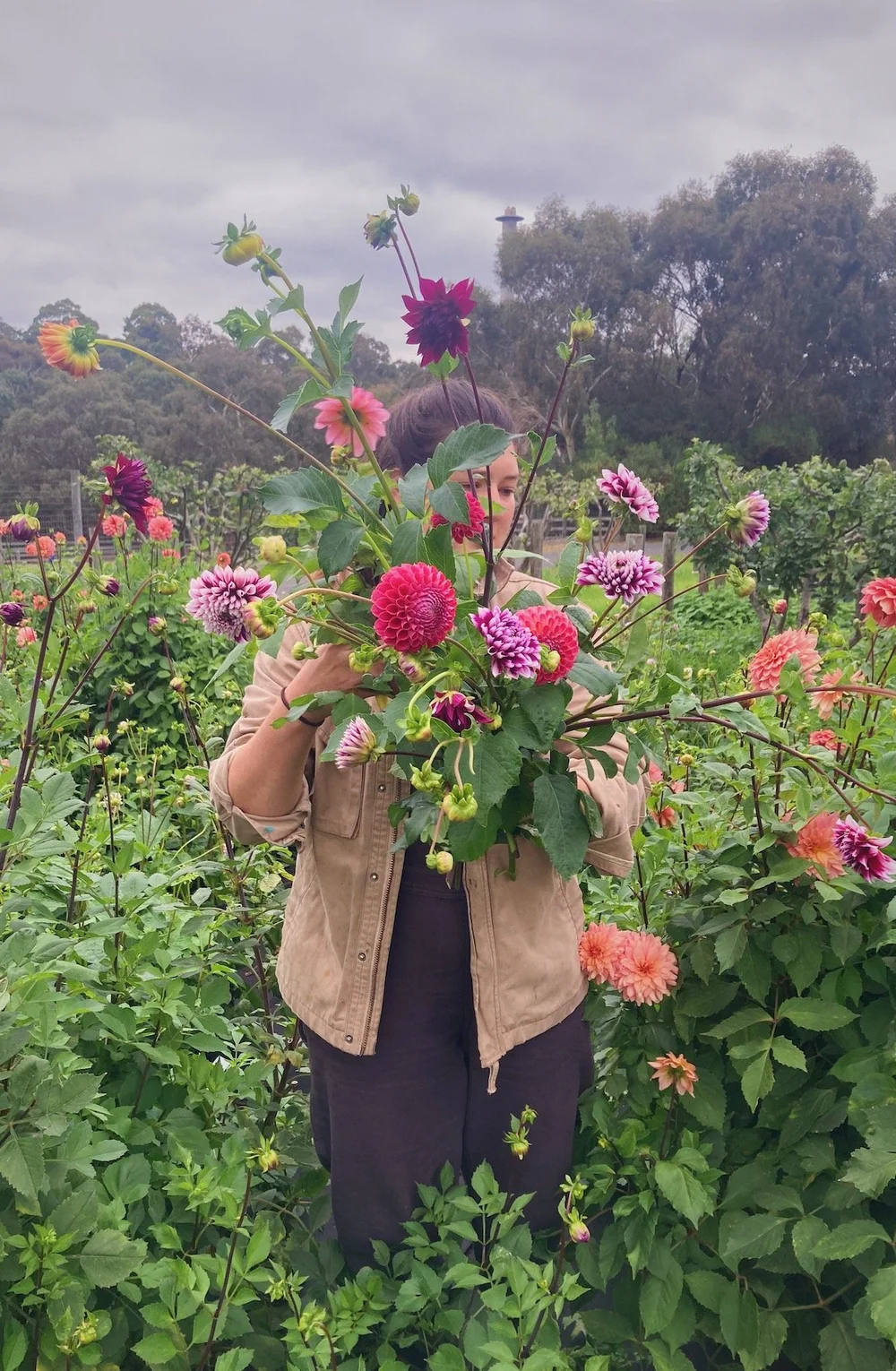 Horticulture — Collingwood Children's Farm