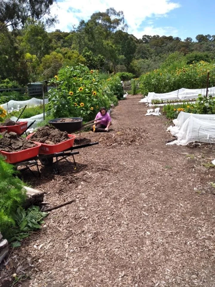 Volunteer With Us — Collingwood Children's Farm