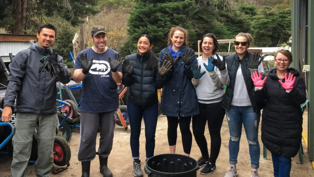 Corporate Team Experiences — Collingwood Children's Farm