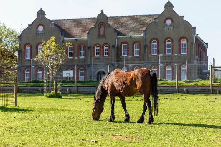 Our Story & Mission — Collingwood Children's Farm