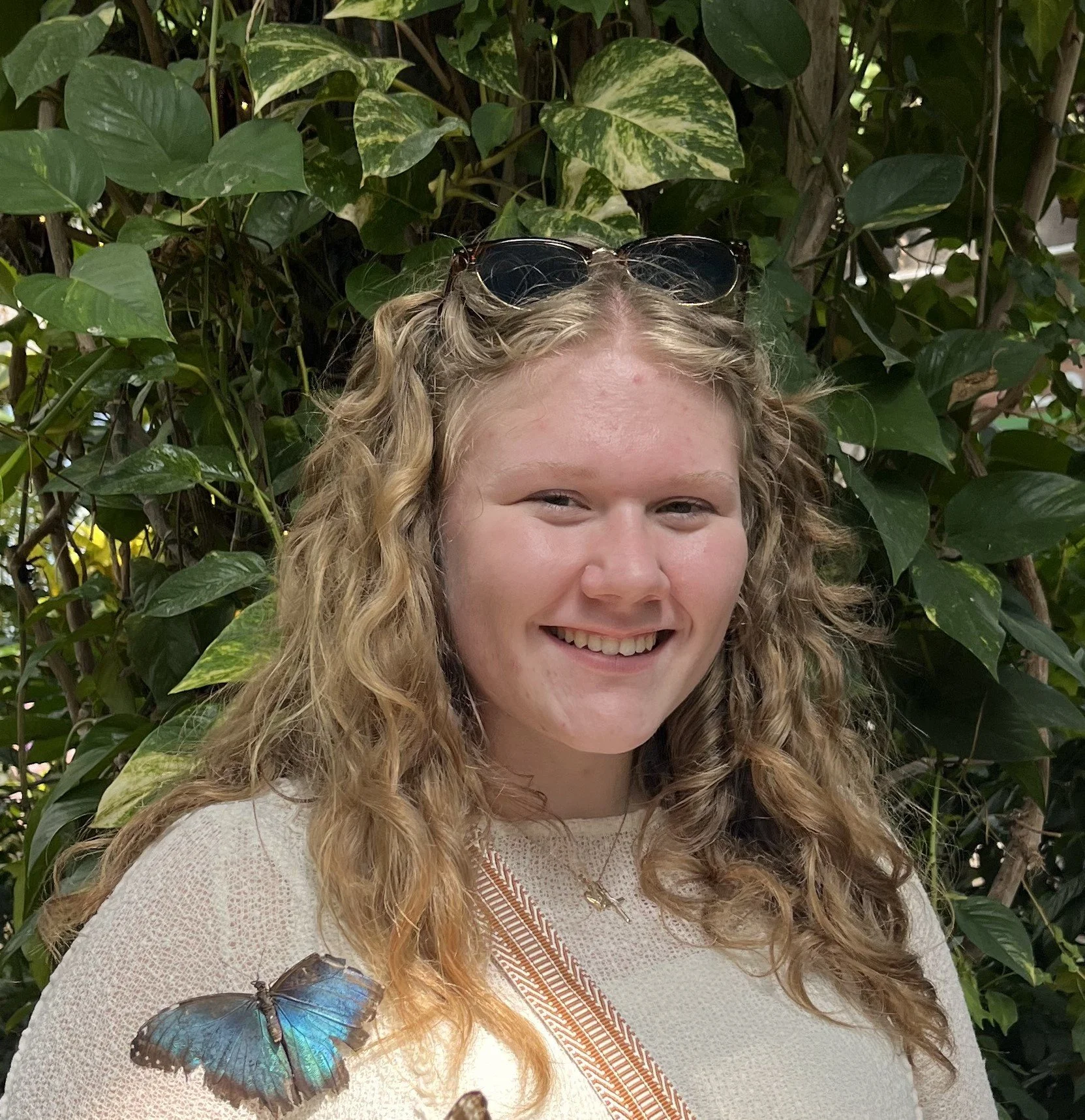 MEET OUR TEAM — Fairview Baptist Church