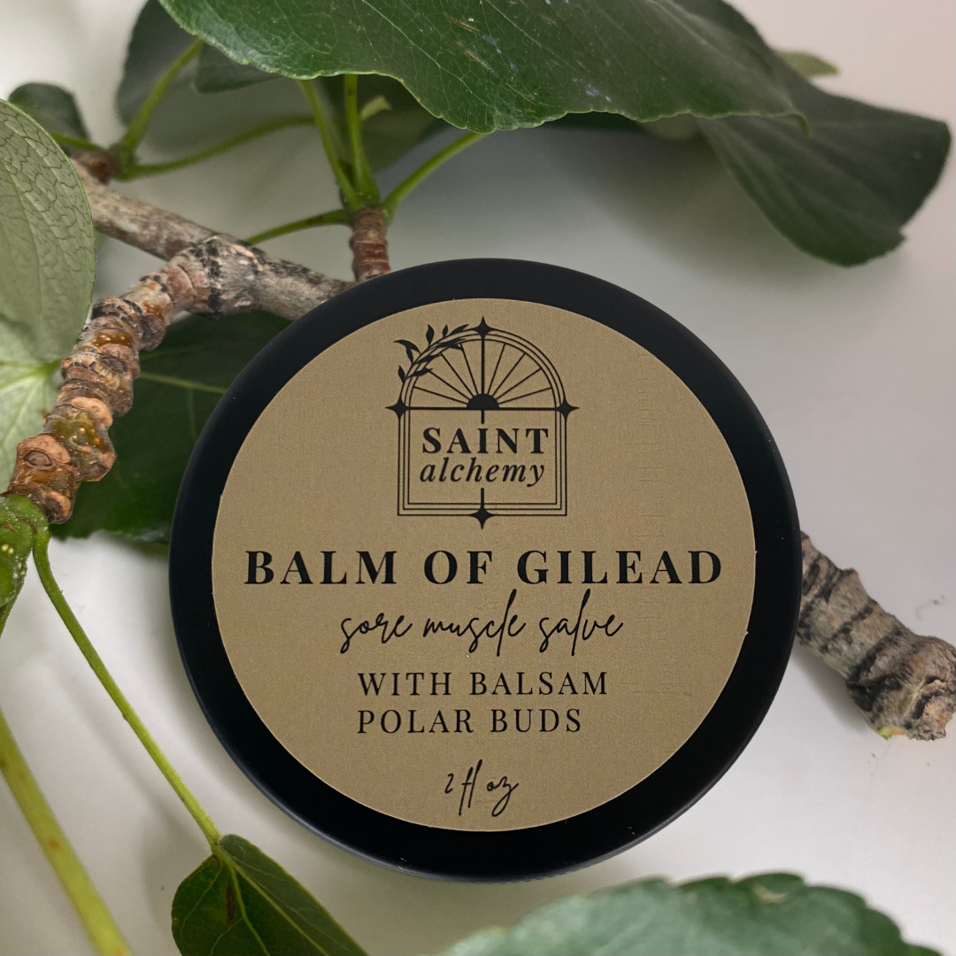 Chiron | Wildcrafted Would Healing Salve — saint alchemy