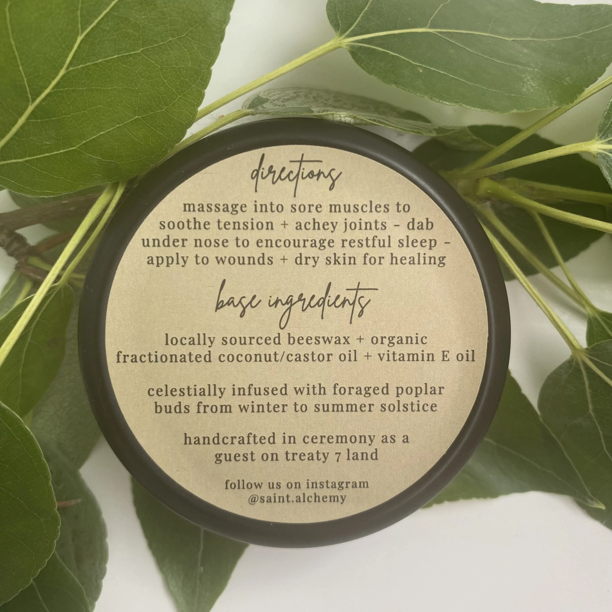 Chiron | Wildcrafted Would Healing Salve — saint alchemy