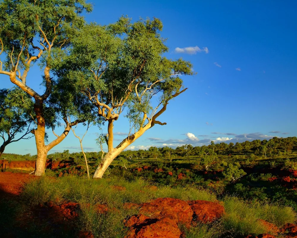 Discover the gems of Queensland’s Southern Outback with Trade Travel ...