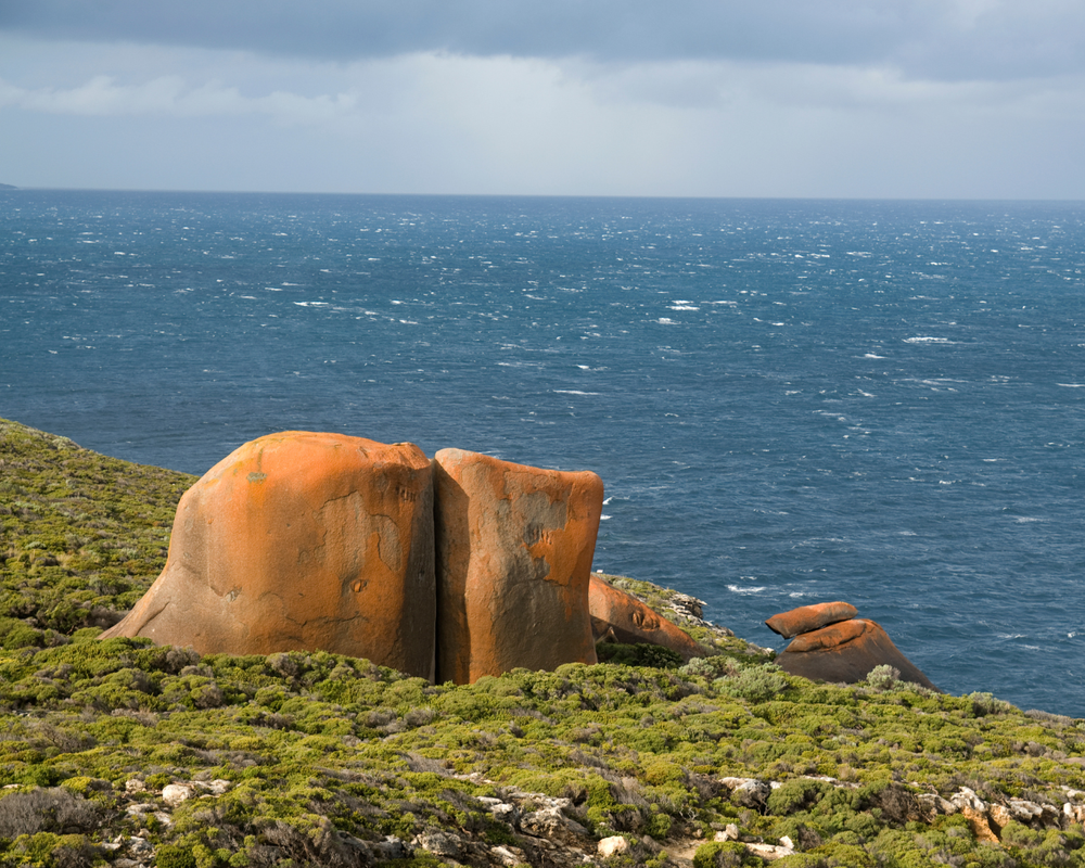 Hidden Trivia and Fascinating Facts About King & Flinders Islands ...