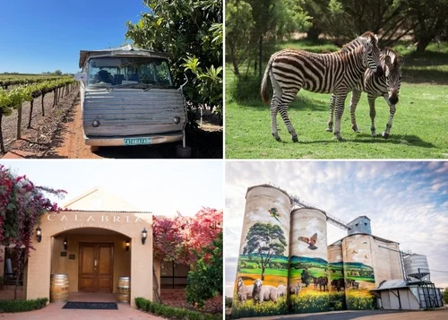 GRIFFITH SPRING FESTIVAL — Trade Travel