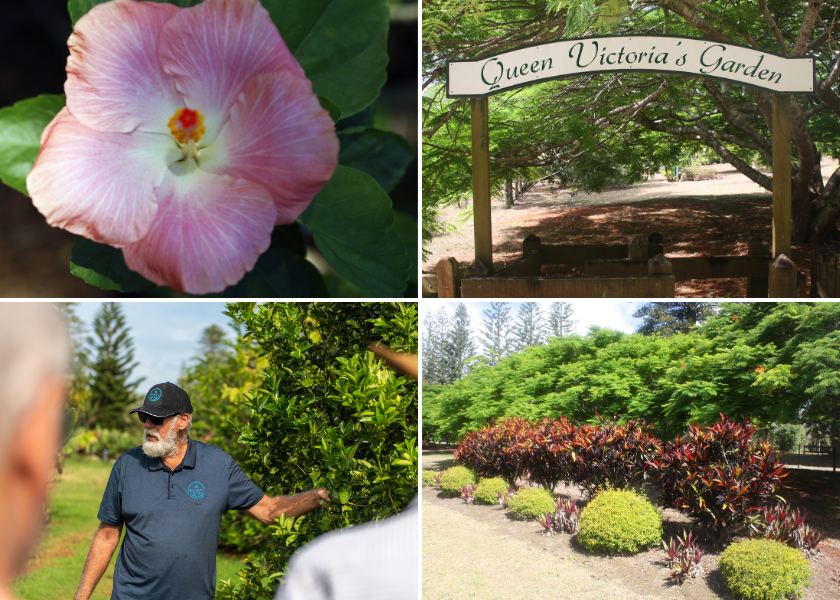 QUEENSLAND OUTBACK GARDEN TRAIL — Trade Travel