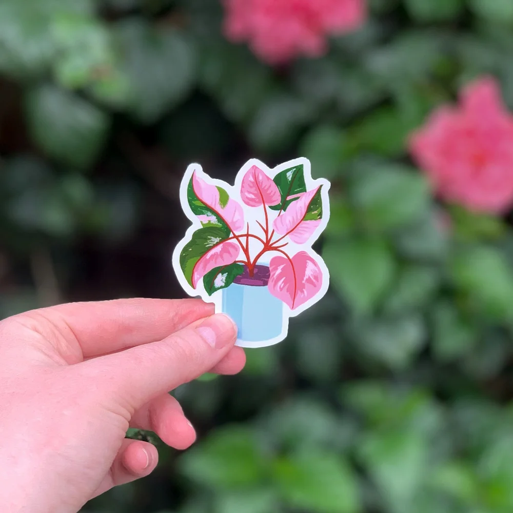 Shop — Ruby MacKinnon