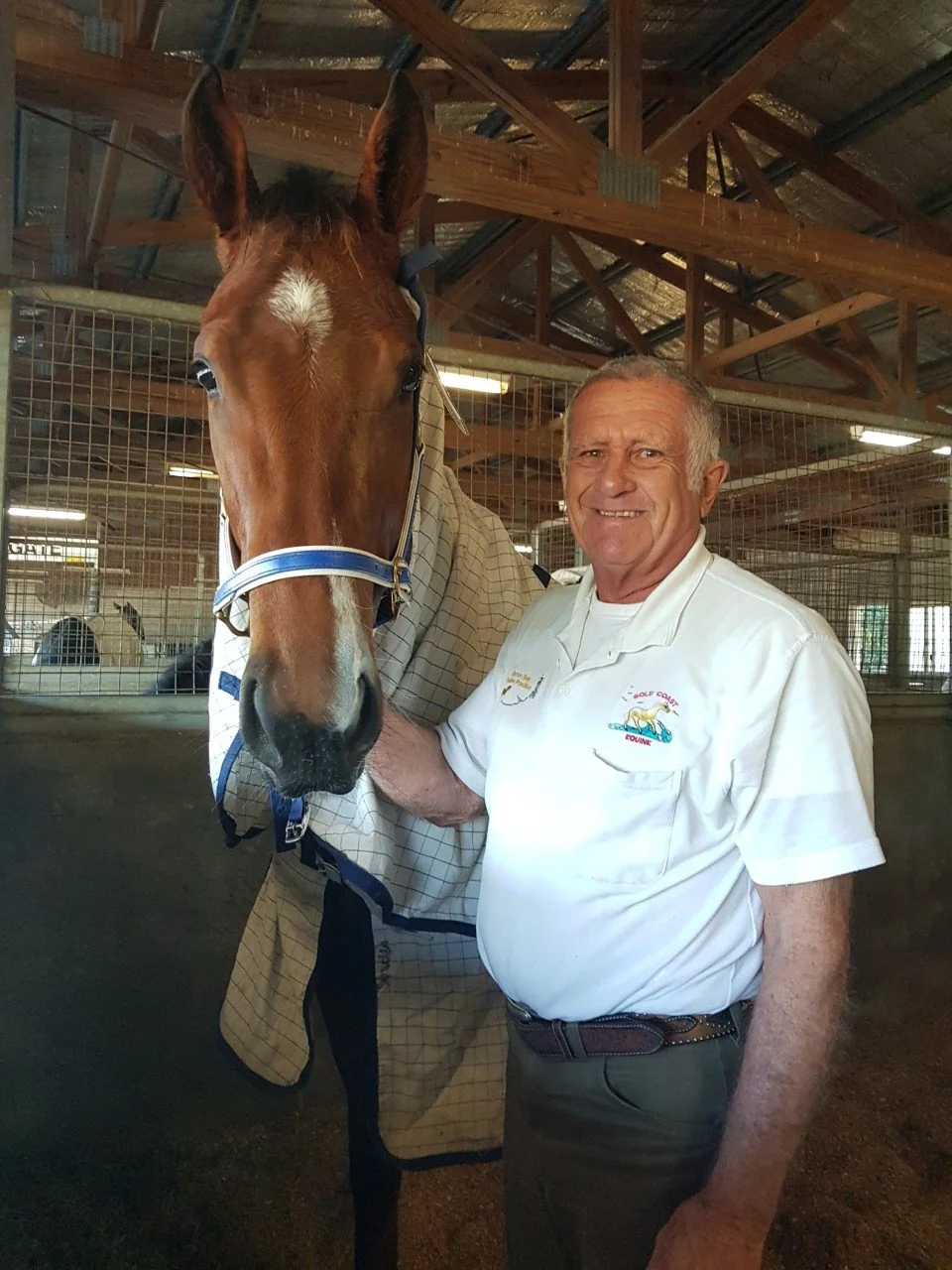 About — Online Horse Vet