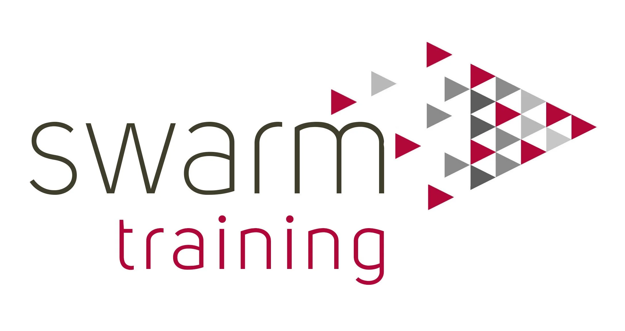 Full Service Support | Swarm Group