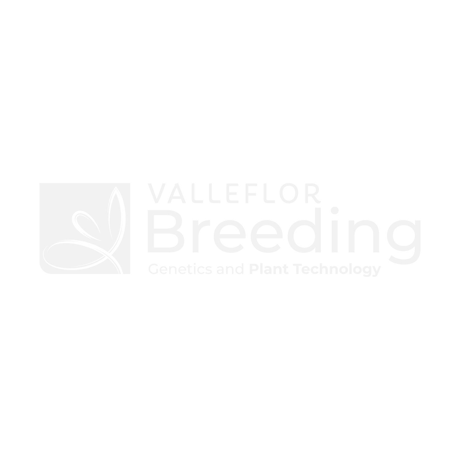 General 2 — Valleflor