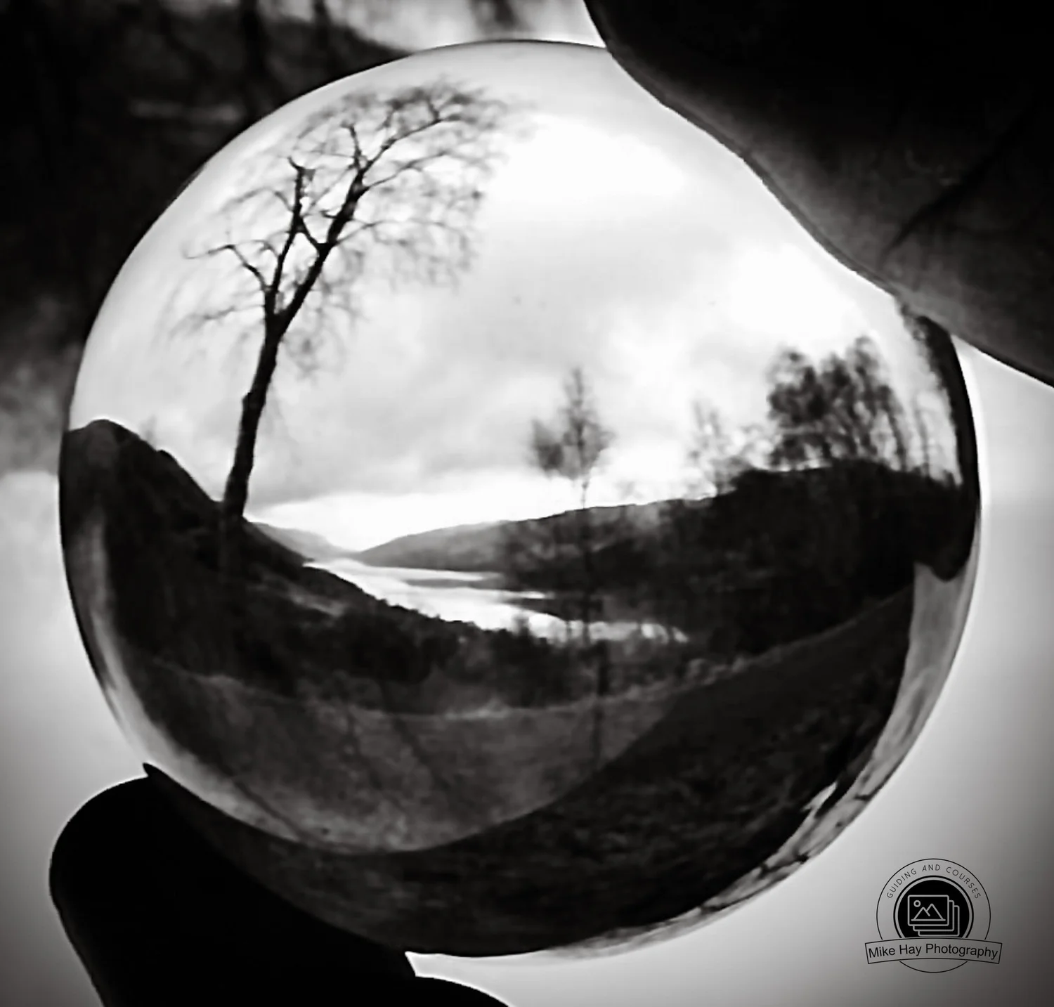 Seeing Differently – A Guide to Refraction Photography with a Lens Ball ...