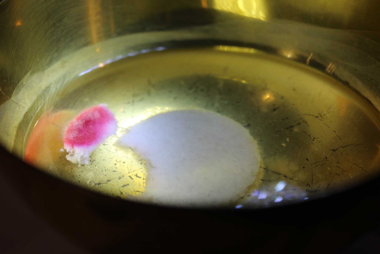 Eucharistic Miracles: God Under the Microscope — Saint Beluga