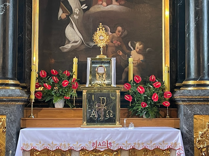 Eucharistic Miracles: God Under the Microscope — Saint Beluga