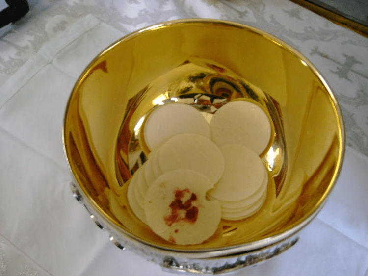 Eucharistic Miracles: God Under the Microscope — Saint Beluga