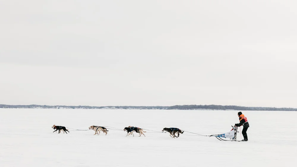 Sled Dog Movies — Klondike Dog Derby
