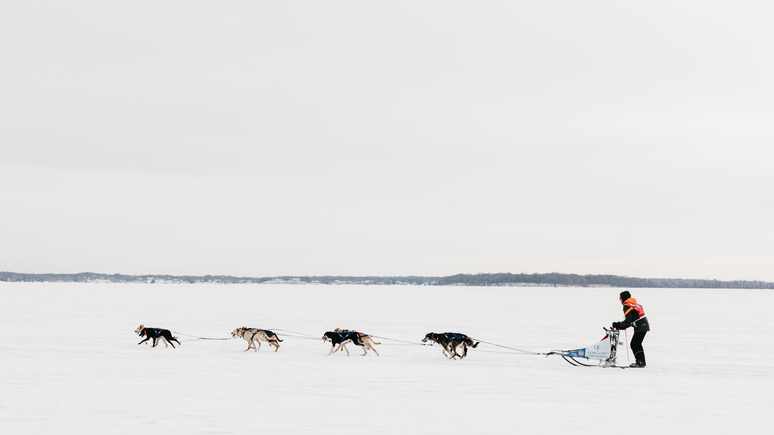 Sled Dog Movies — Klondike Dog Derby