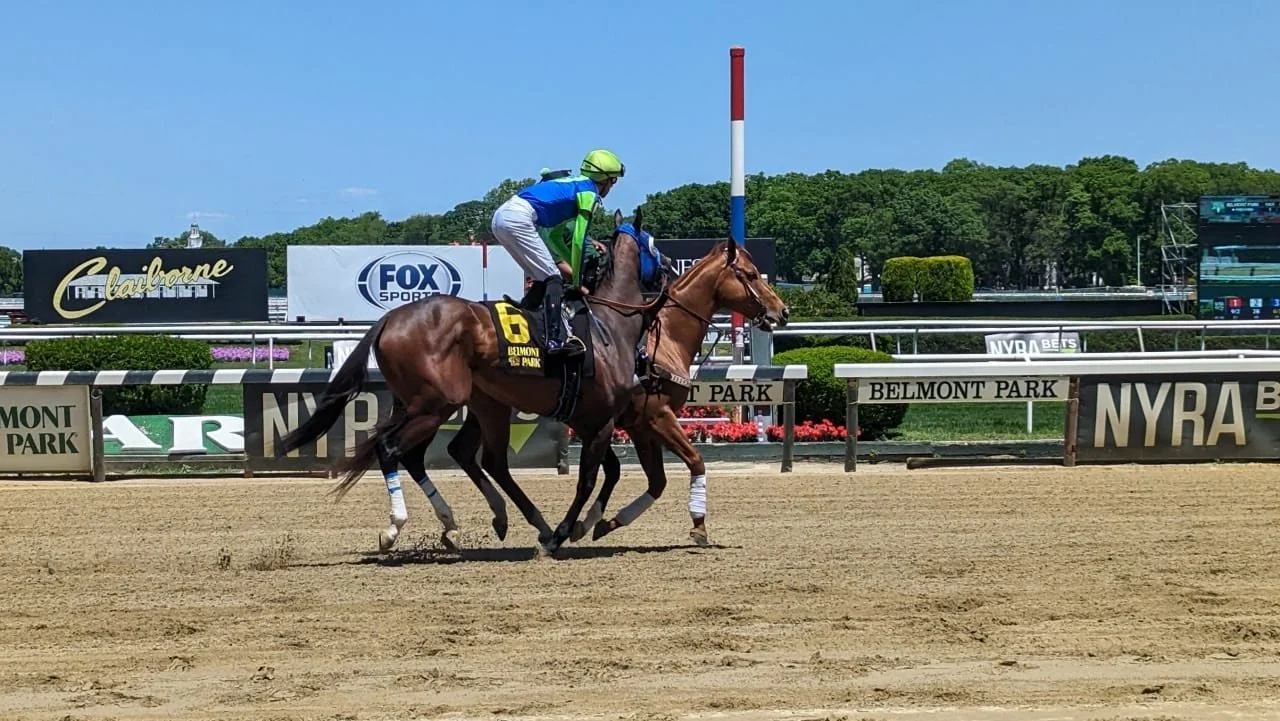 Gallery — RT Racing Stable