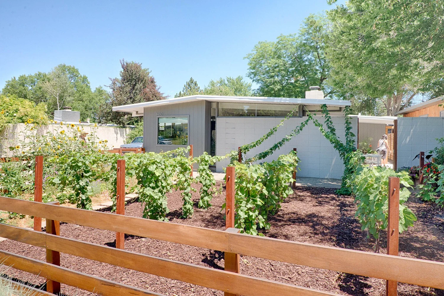 Krisana Park Neighborhood in Denver, Colorado — MidMod Colorado ...