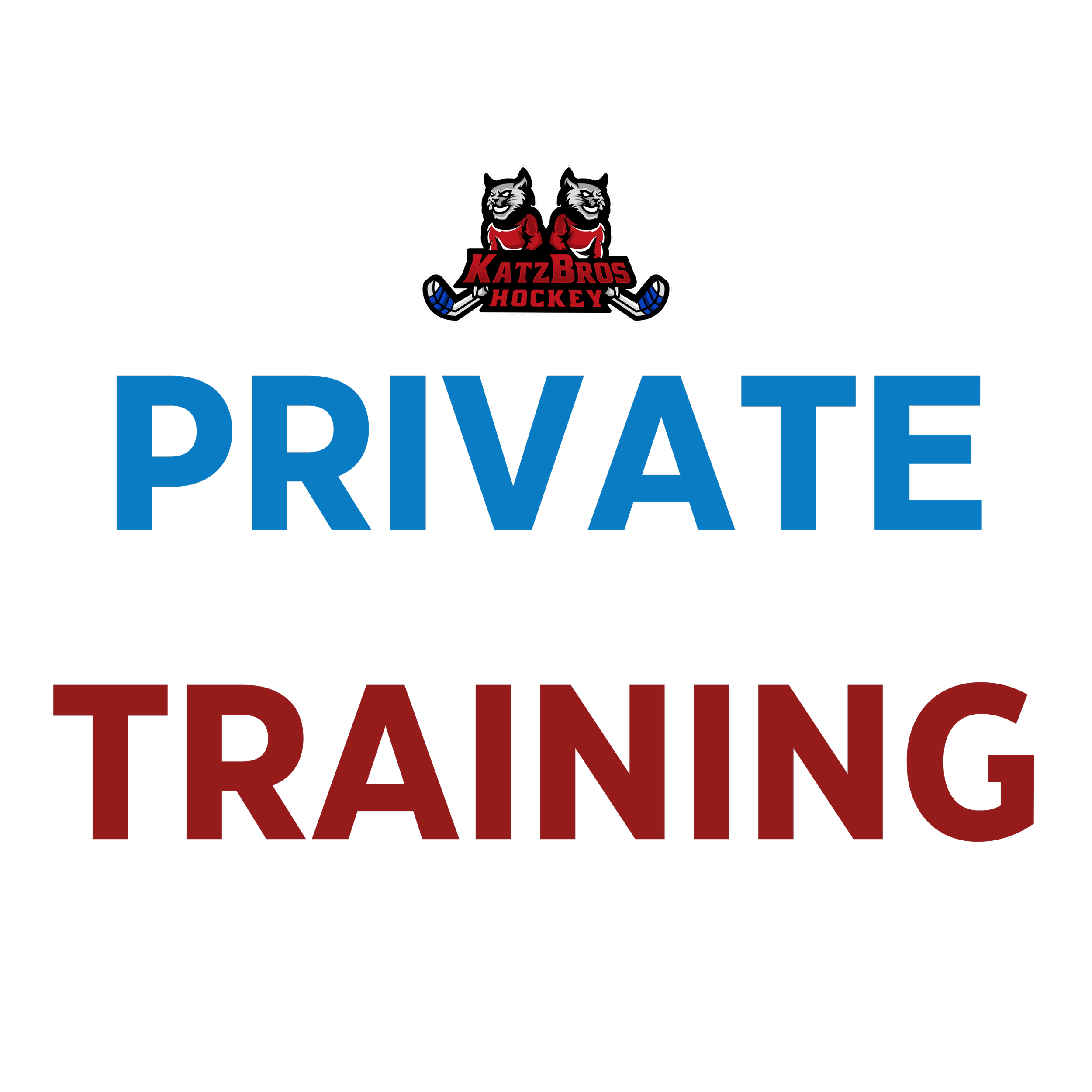 Private Hockey Training in Vaughan & GTA | Katz Bros Hockey | Katz Bros ...