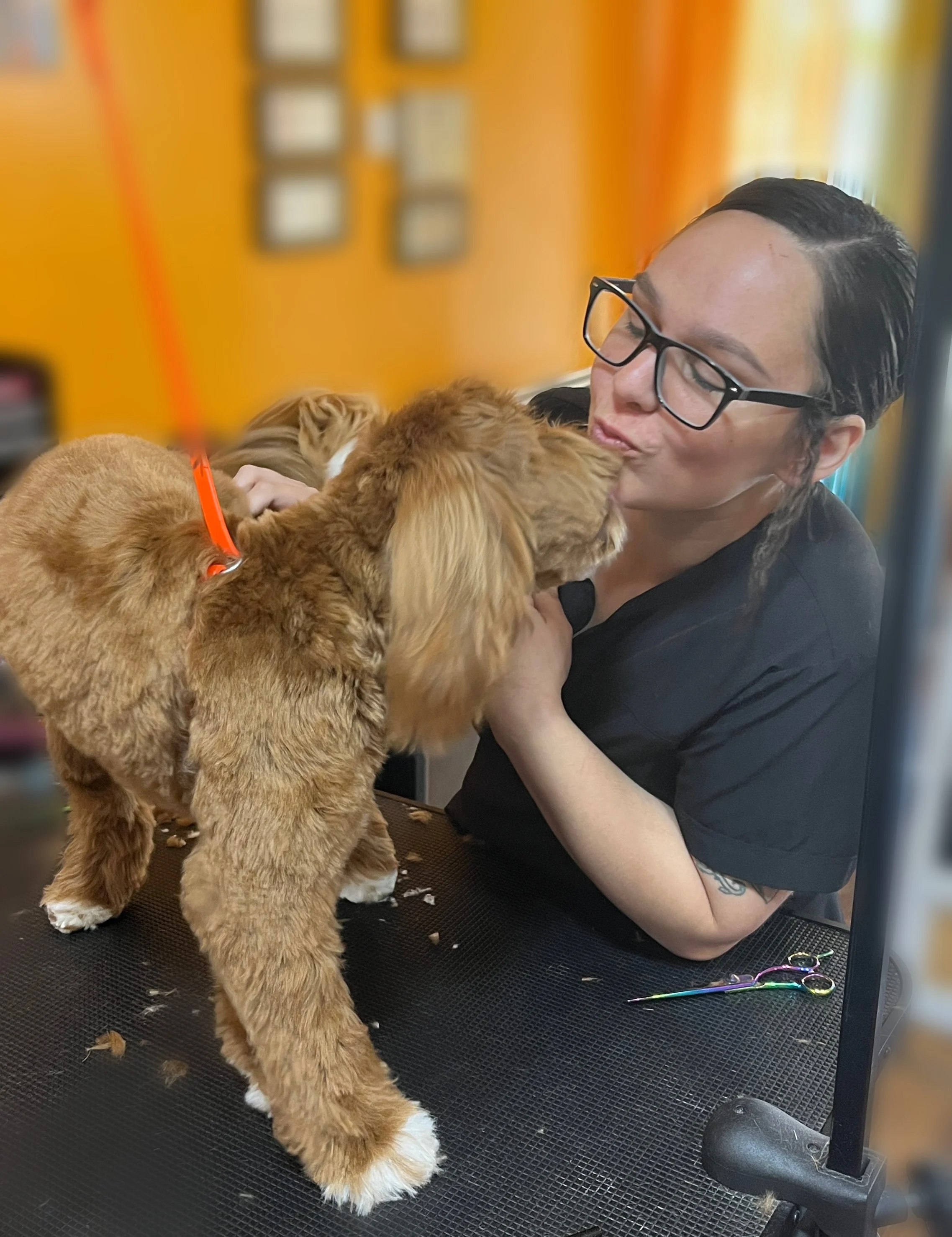 Meet Our Groomers — Solano's Ultimutt Grooming LLC