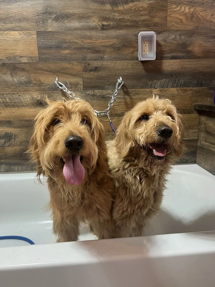 Solano's Ultimutt Grooming LLC