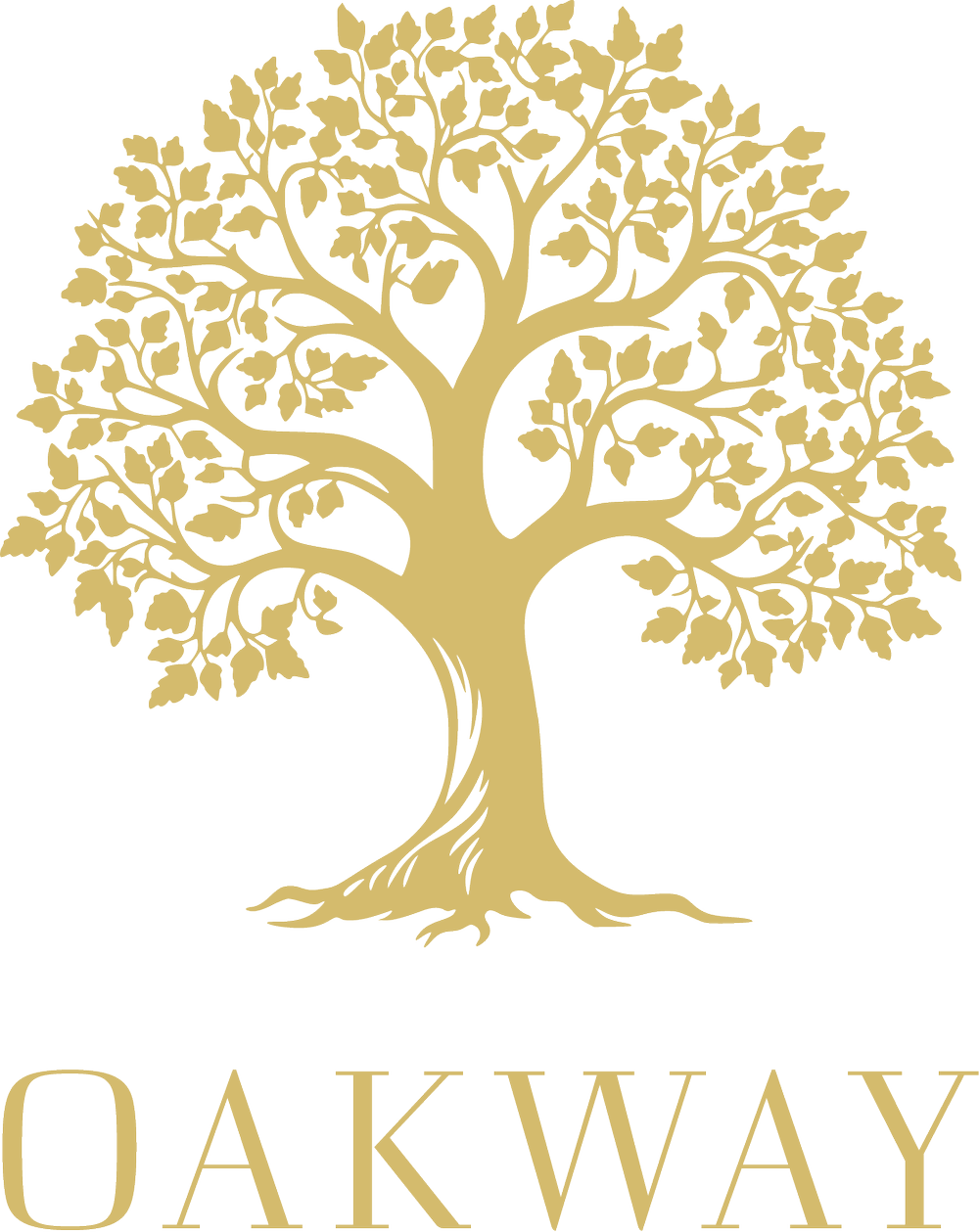 Oakway | New Construction Homes for Sale Near Mordecai & Oakwood in ...