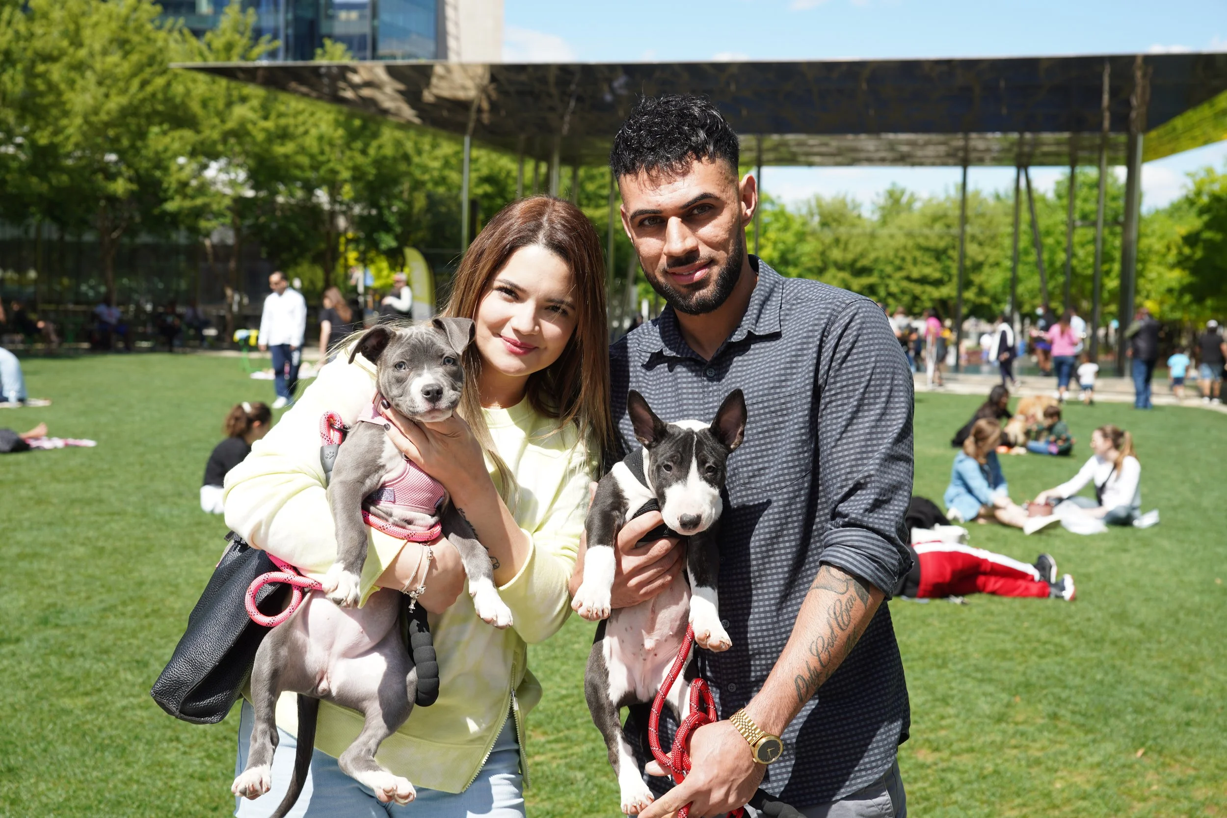Dog Adoption Day — Klyde Warren Park