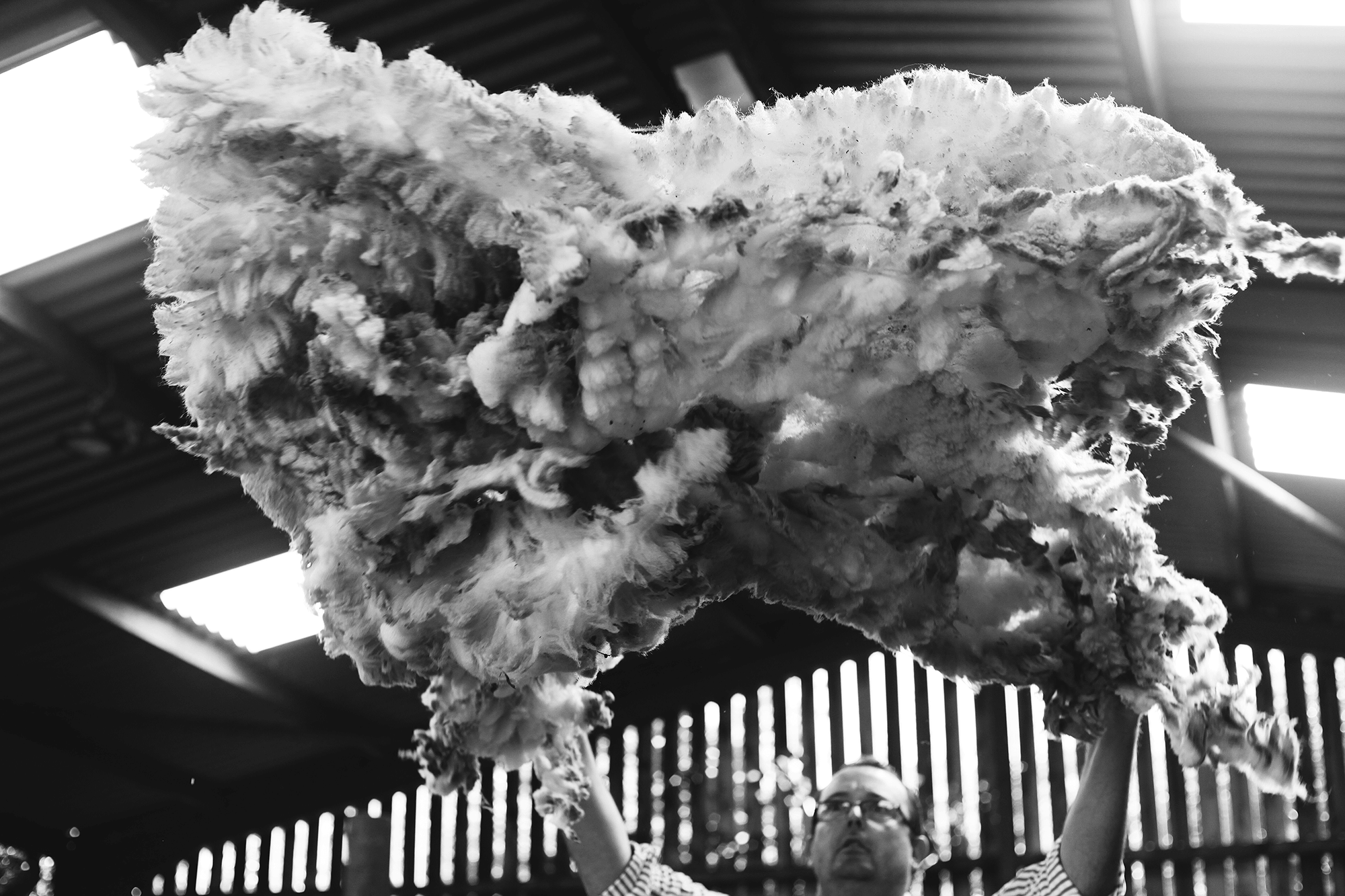 Active insulation — HDWool