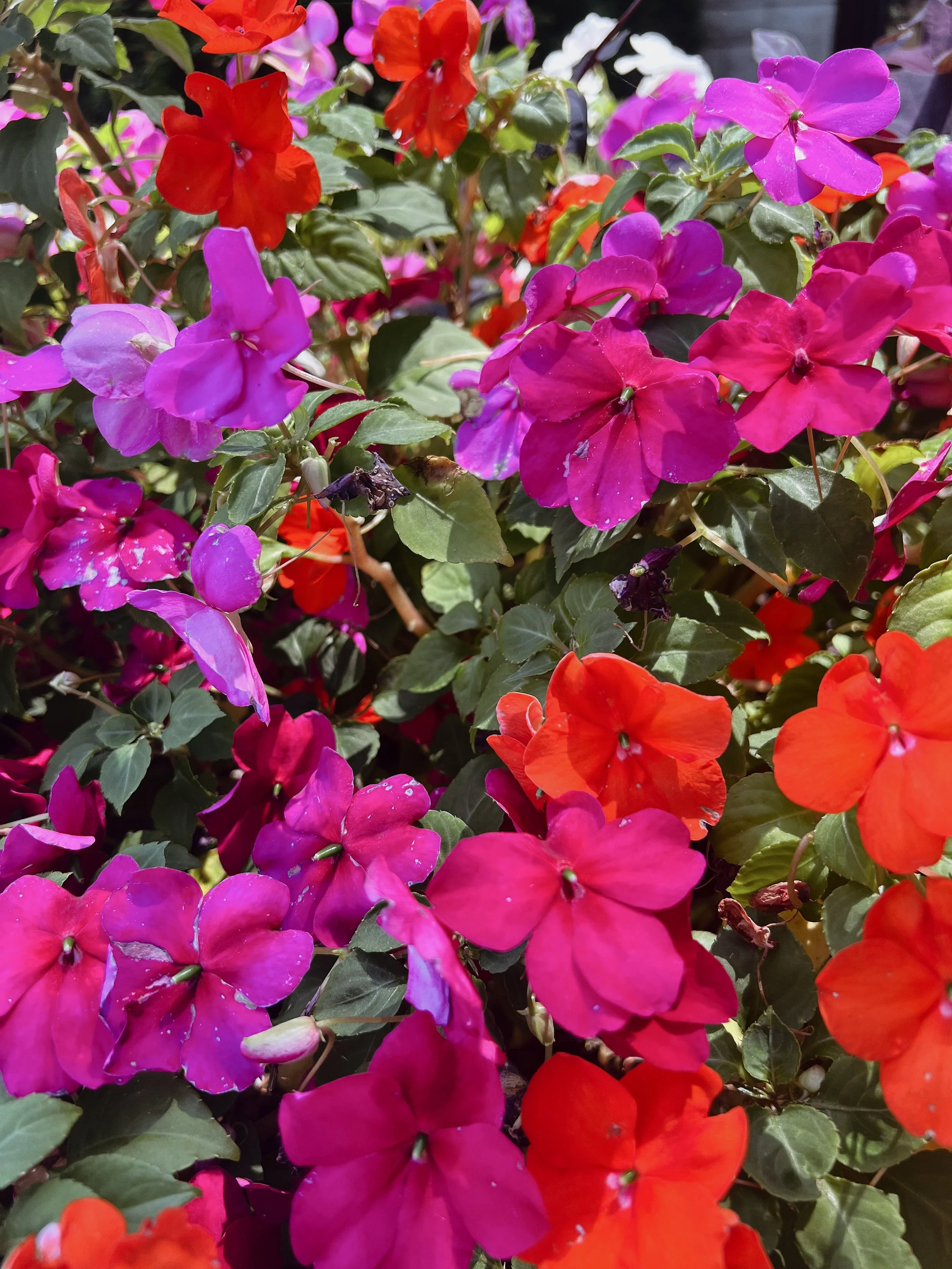 Simpson House | Kansas City Event Space