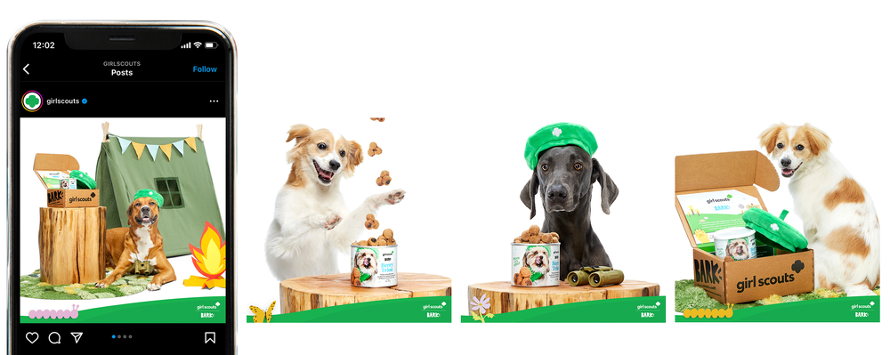 BarkBox x Girl Scouts — Wow, look at this amazing site