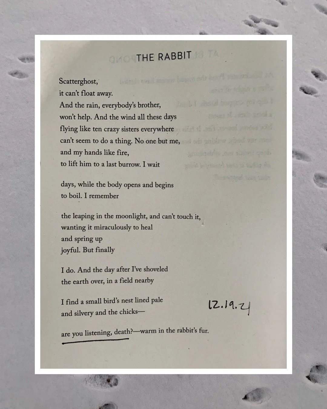 five poems for grief and loss — Juniper House Spiritual Direction