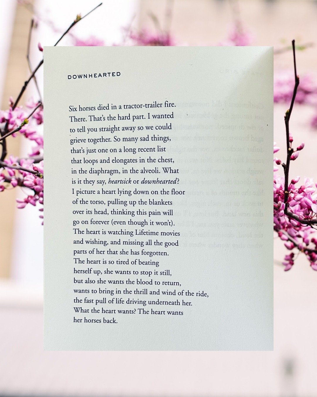 five poems for grief and loss — Juniper House Spiritual Direction