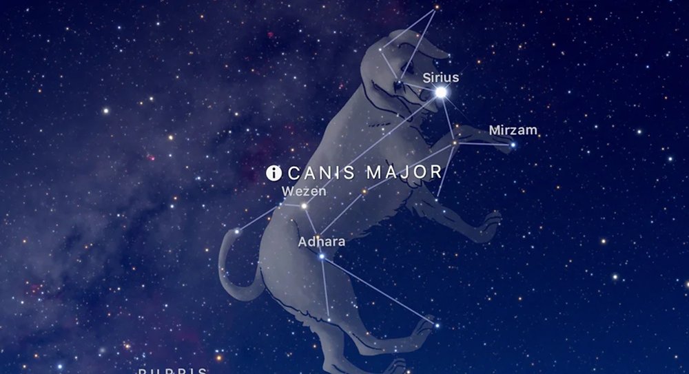 Gallery 3 — Debbie Solaris