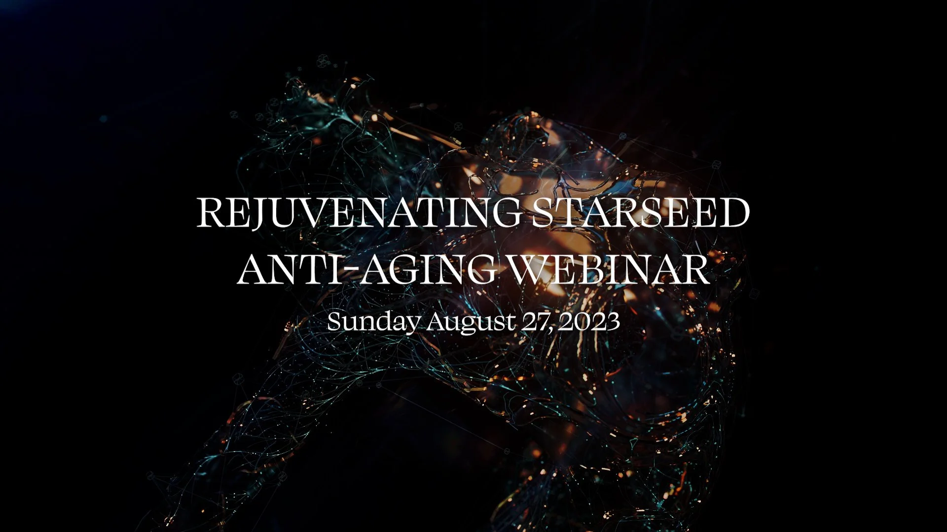 Trainings — Debbie Solaris