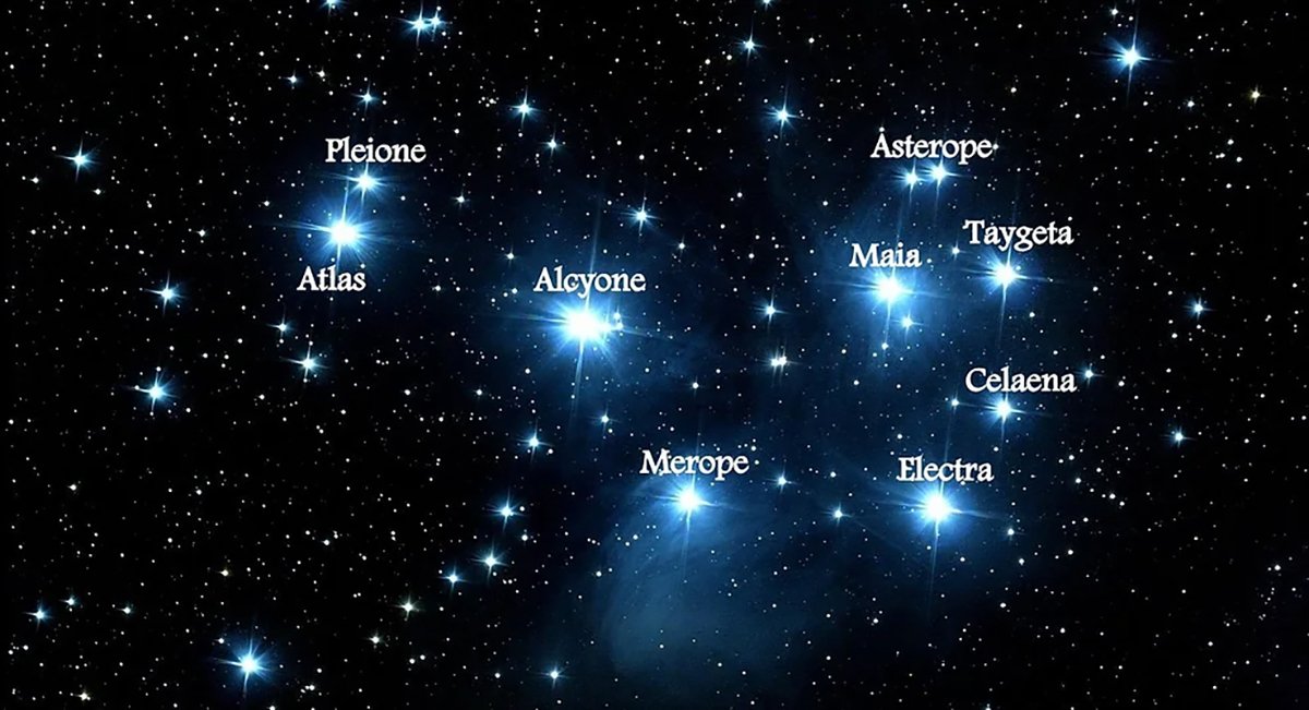 Gallery 3 — Debbie Solaris