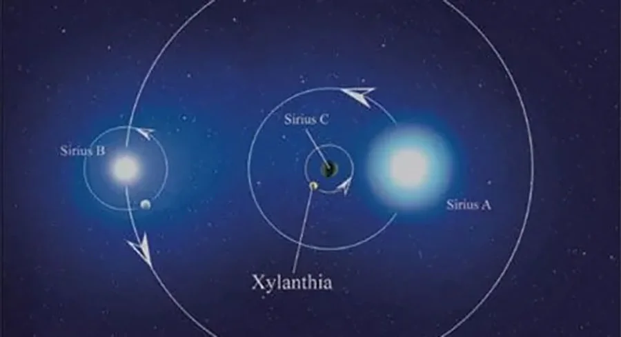 Gallery 3 — Debbie Solaris