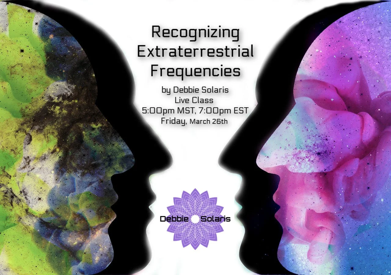 Trainings — Debbie Solaris