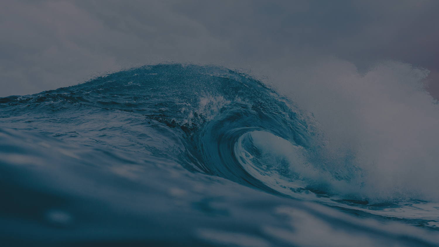 Making Waves Speech Pathology