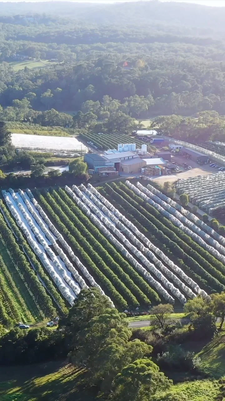 About Us — Bellevue Farm Gate