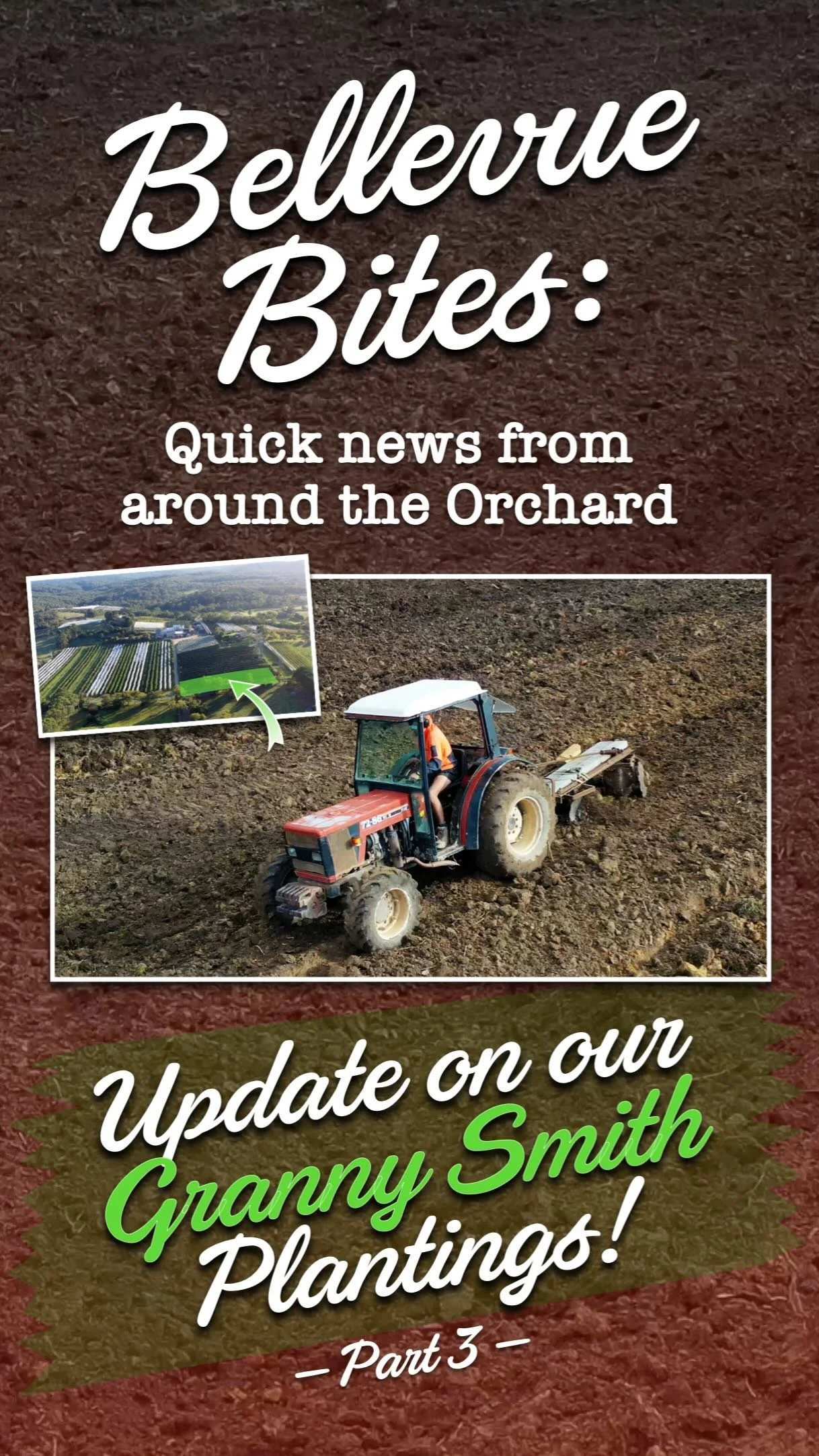 About Us — Bellevue Farm Gate