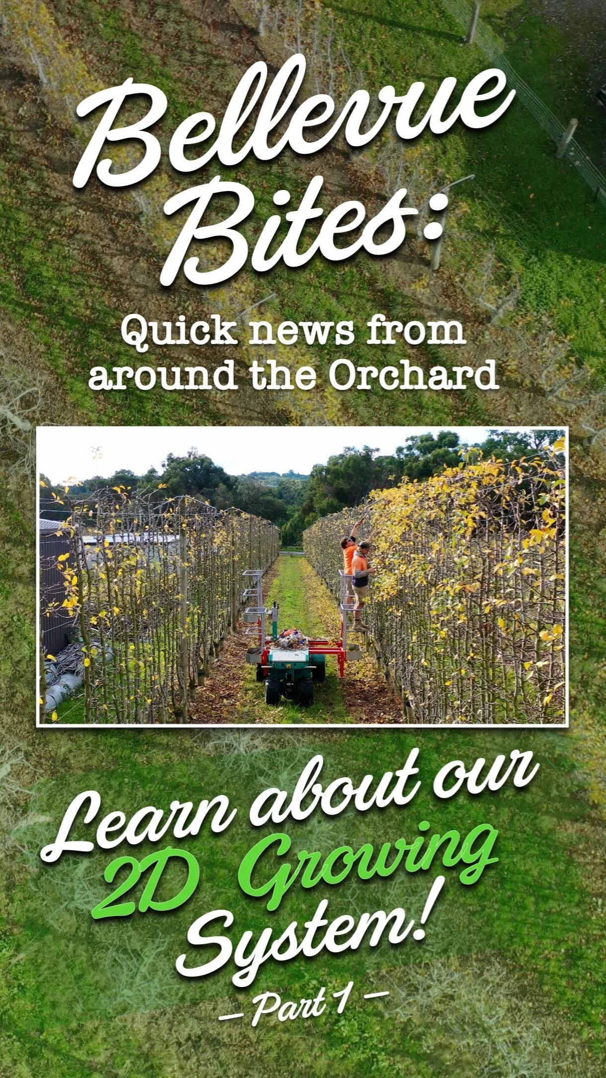 About Us — Bellevue Farm Gate