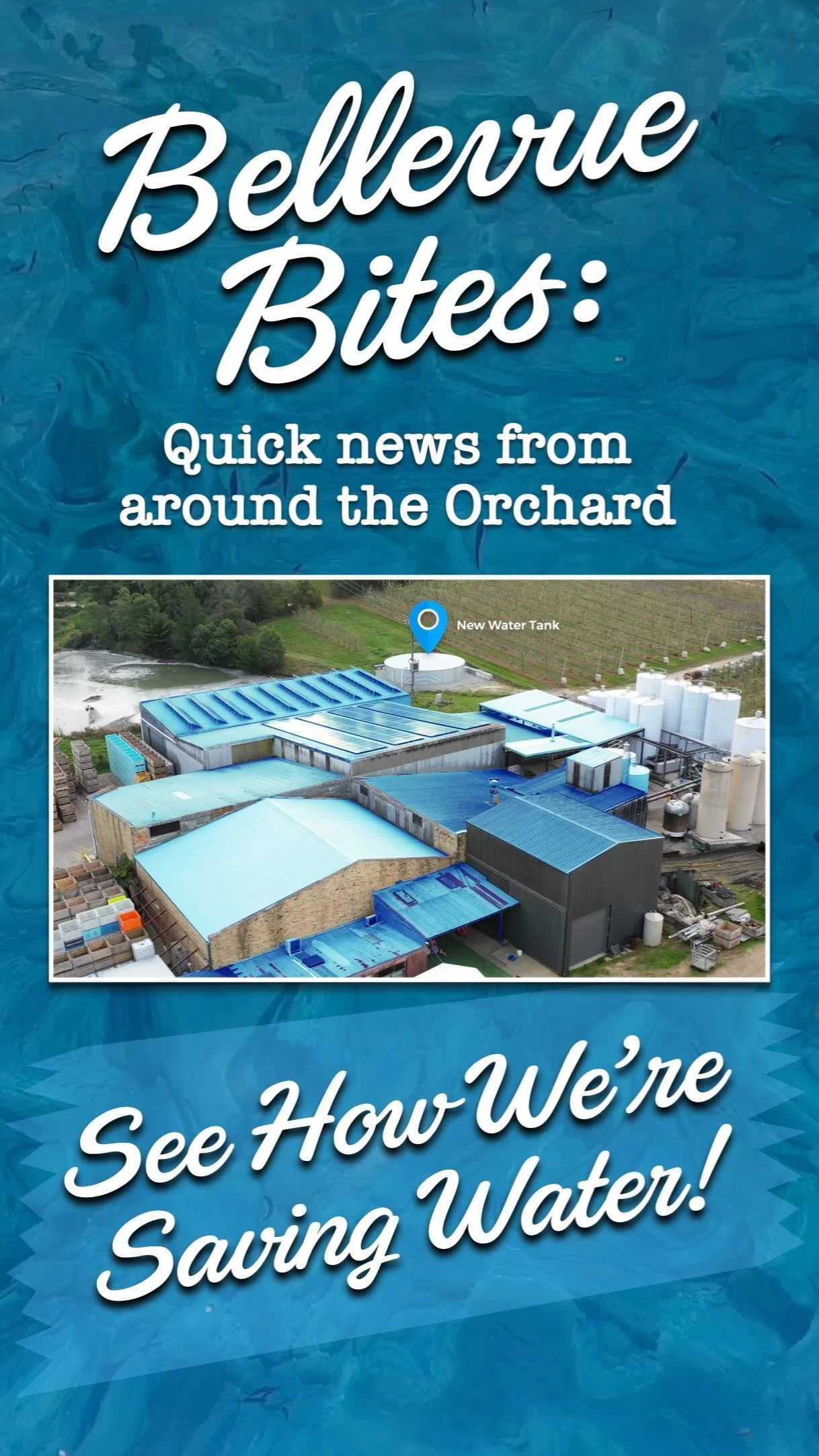 About Us — Bellevue Farm Gate