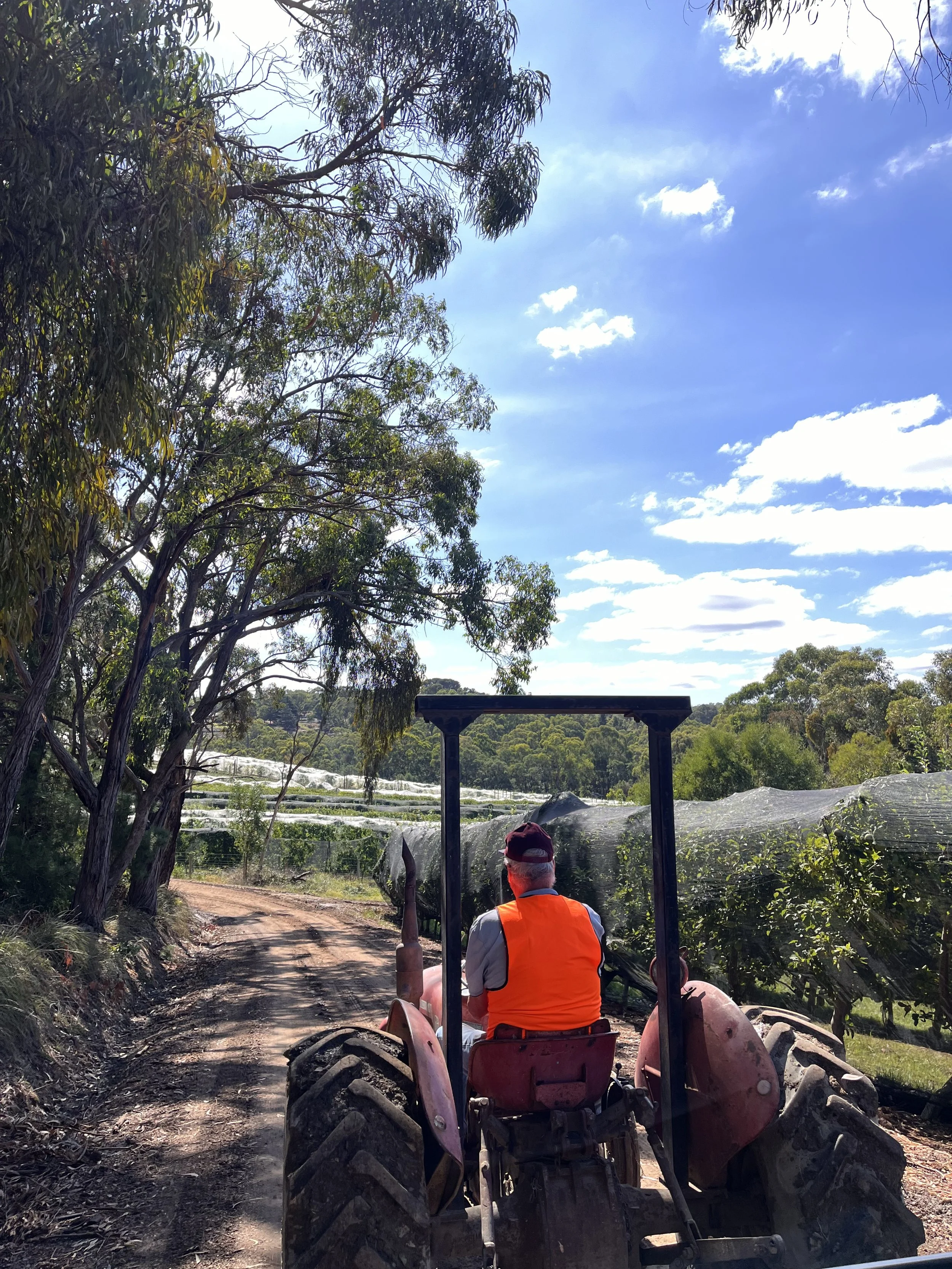 what's on at BFG — Bellevue Farm Gate