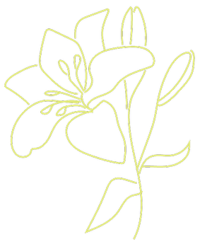 Poeta Italian Restaurant | Austin, Texas